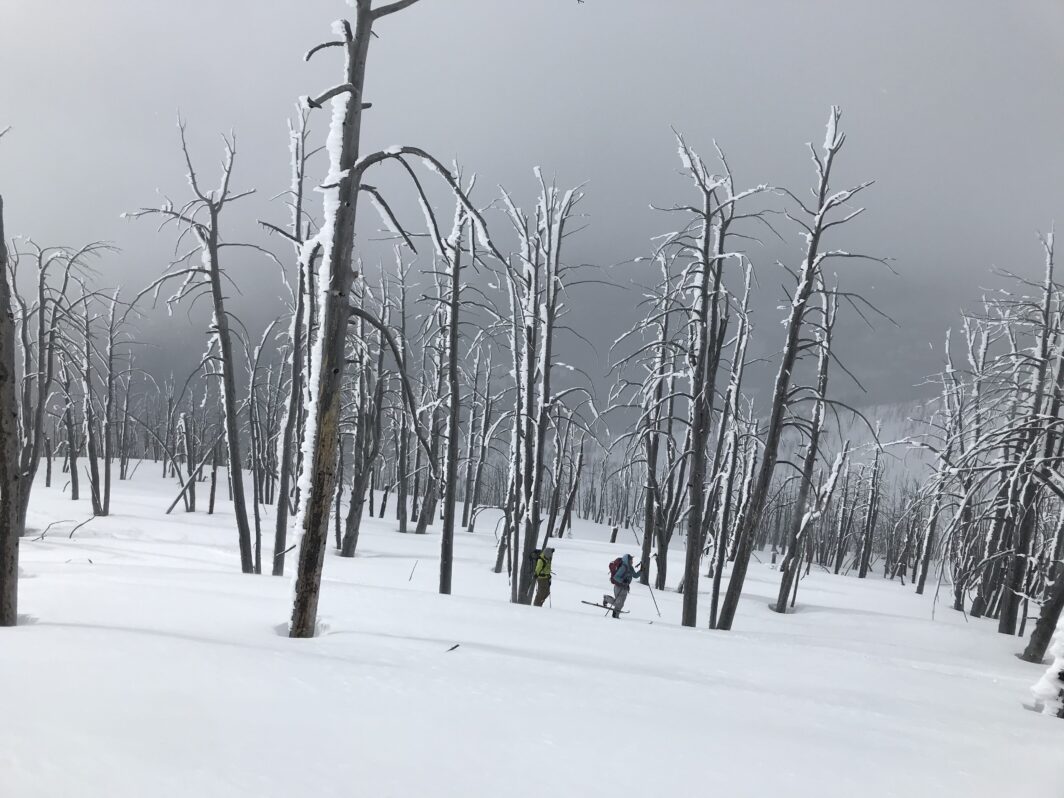 Master the Art of Setting a Skin Track - Voile